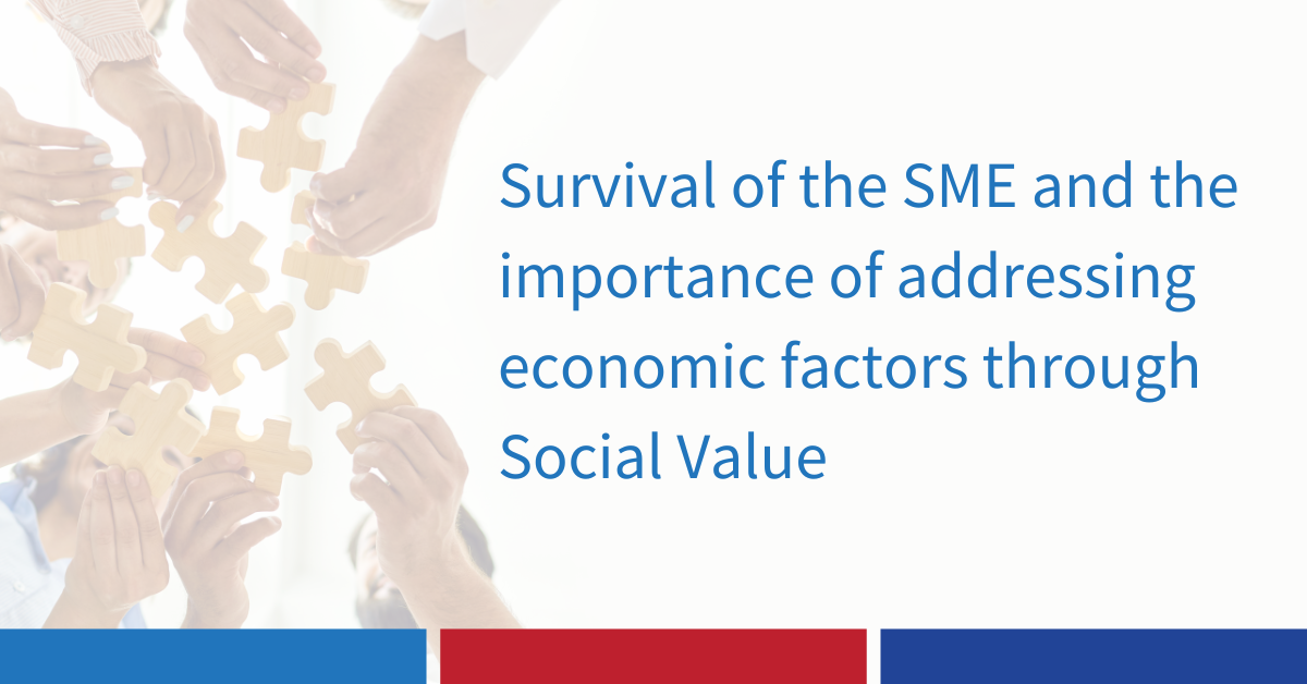 Survival of the SME and the importance of addressing economic factors ...